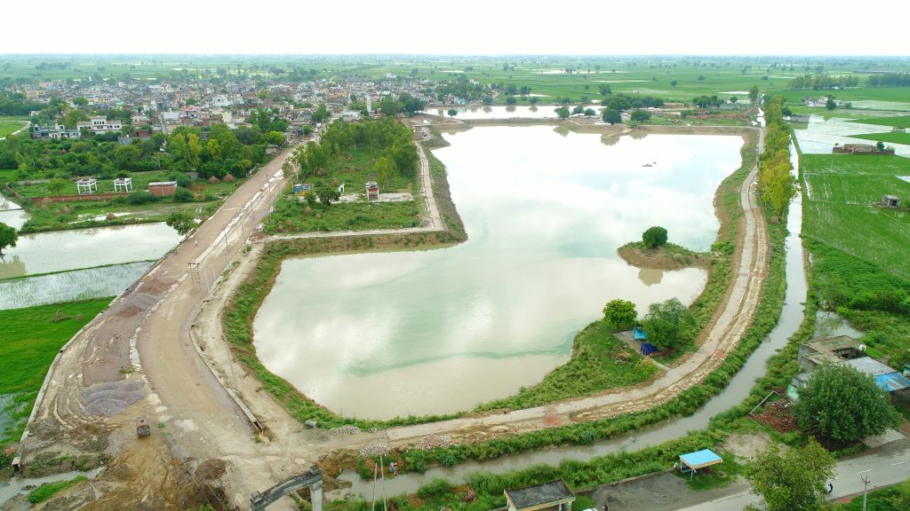 Transforming Filthy Water Bodies into Model Ponds