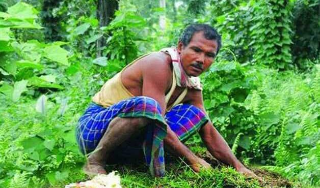The Forest Man of India - Indian Masterminds - Bureaucracy, Bureaucrats ...