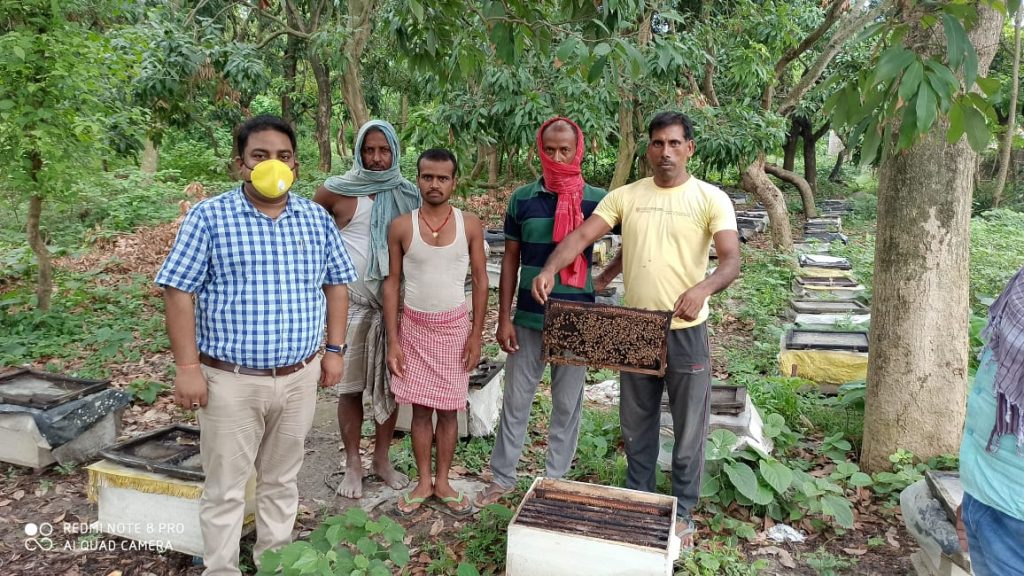 Beekeeping Ushering in Sweet Changes in the Lives of Santhal Tribal ...
