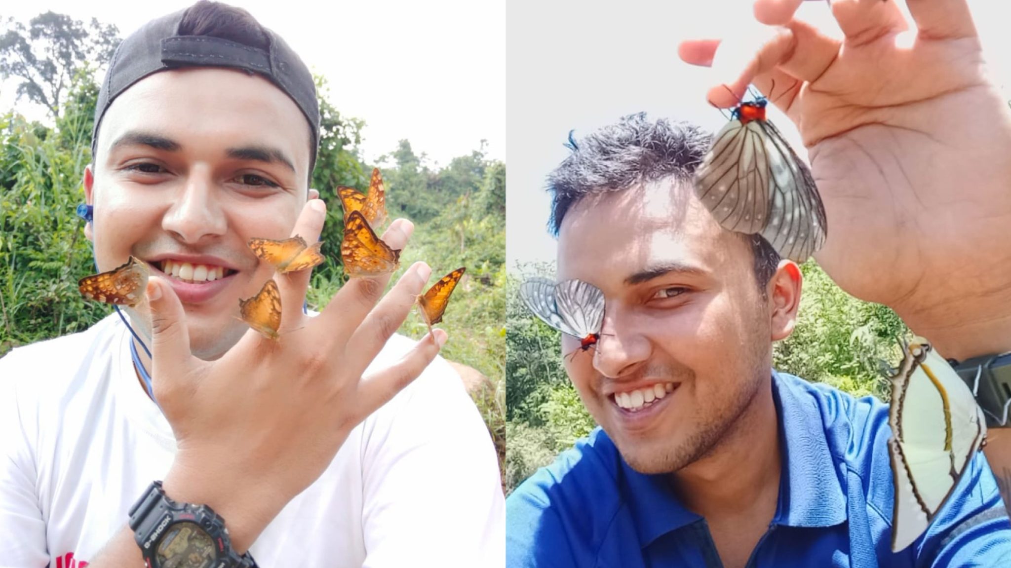 The Butterfly Man of Arunachal Pradesh