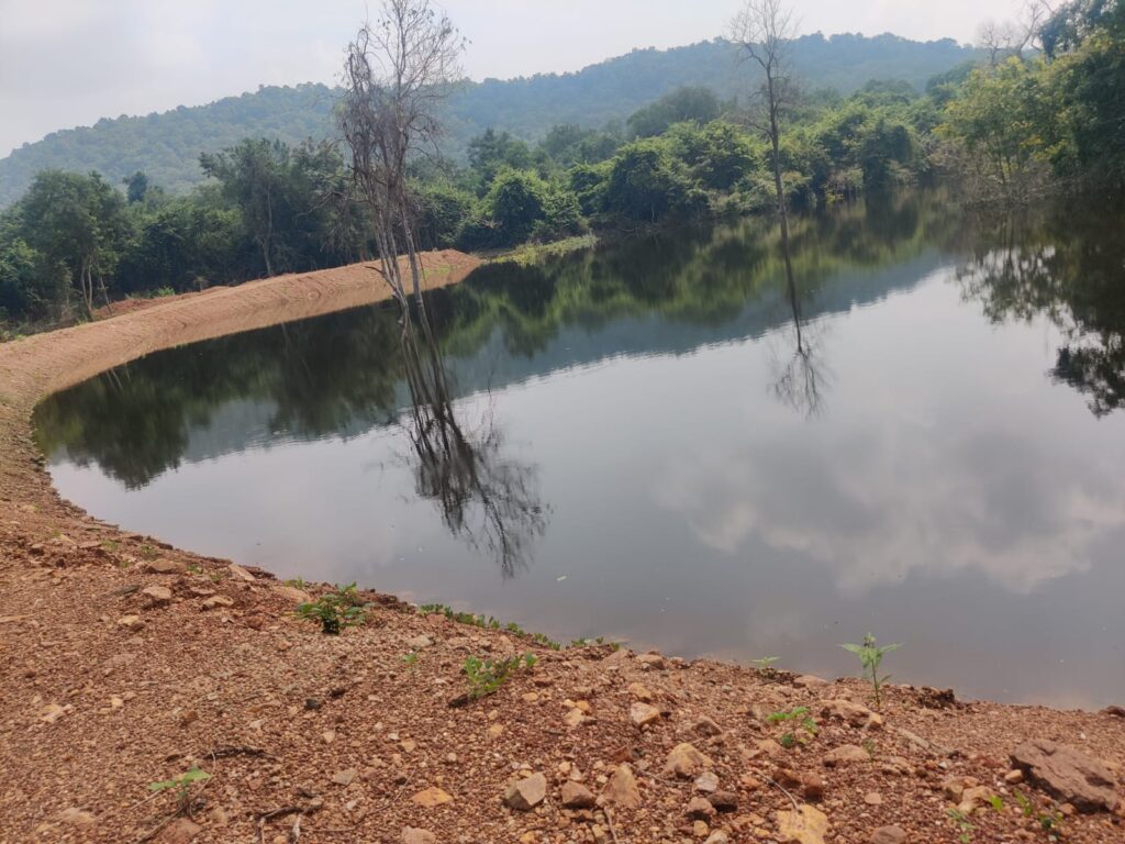 Restoring Lakes With Percolation Tanks, A Technique That Can Increase ...