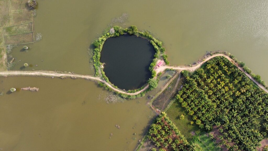 Restoring Lakes With Percolation Tanks, A Technique That Can Increase ...