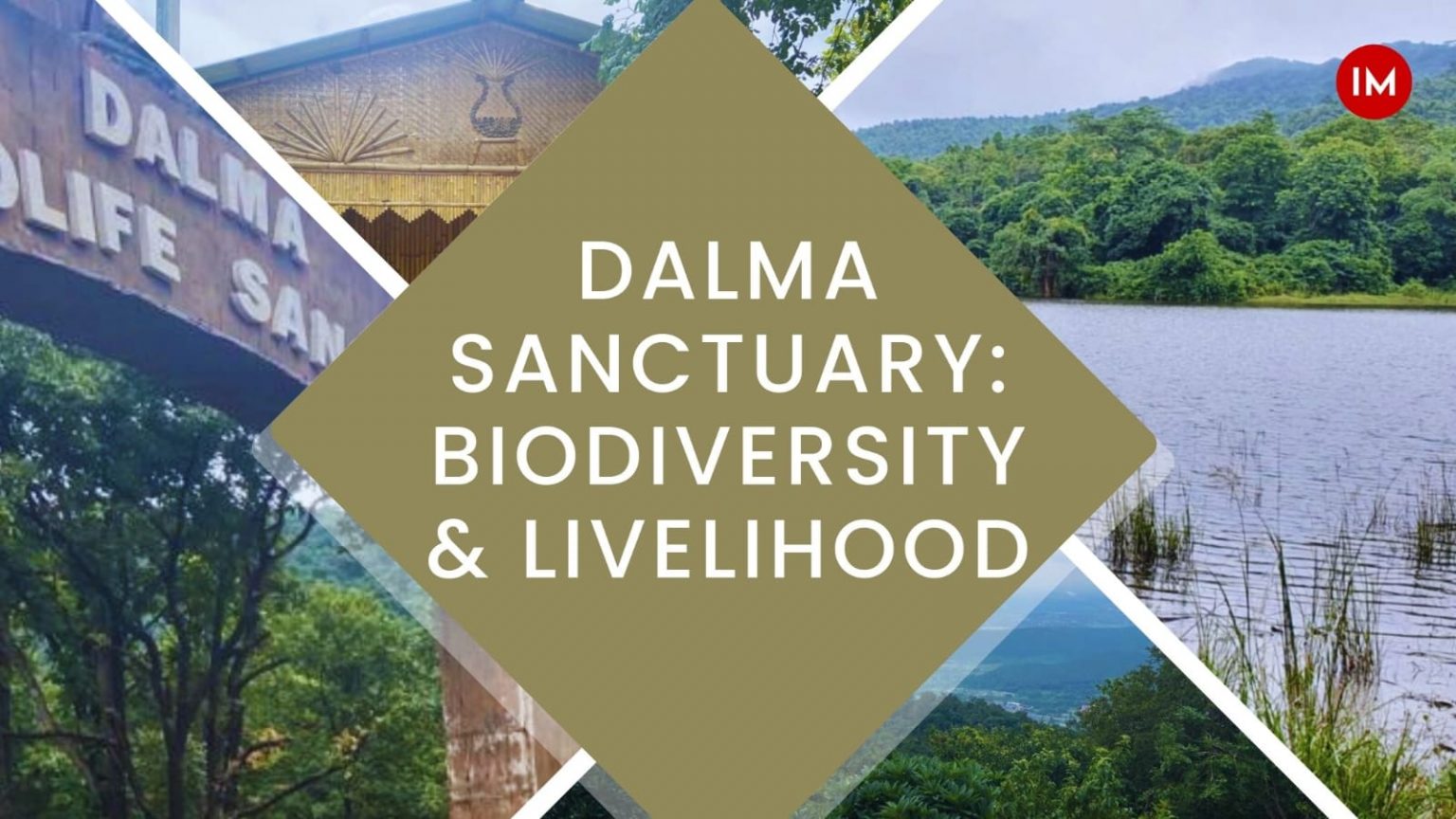 Dalma Wildlife Sanctuary: Transforming Both Human And Animal Lives