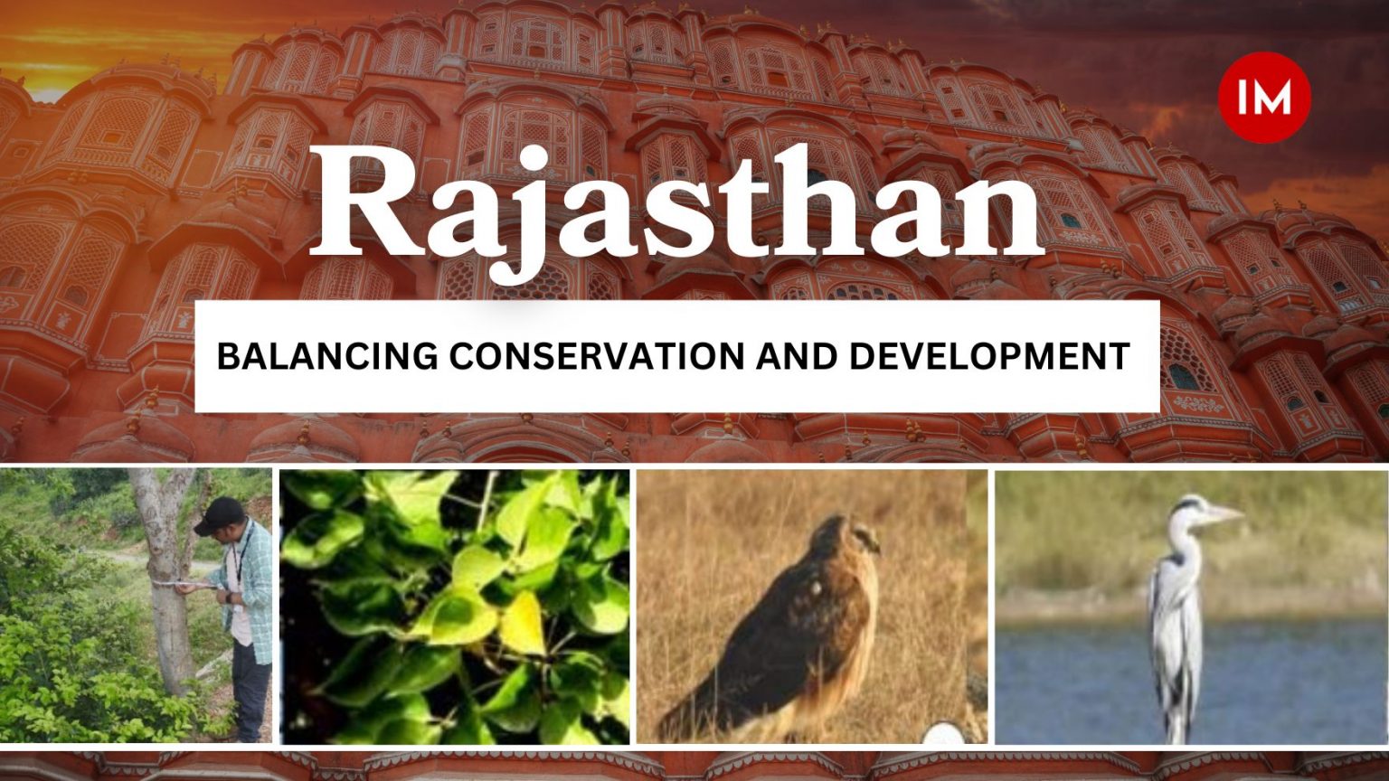 Rajasthan’s Master Plan for Balancing Conservation and Development