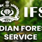 IFS - Forest Archives