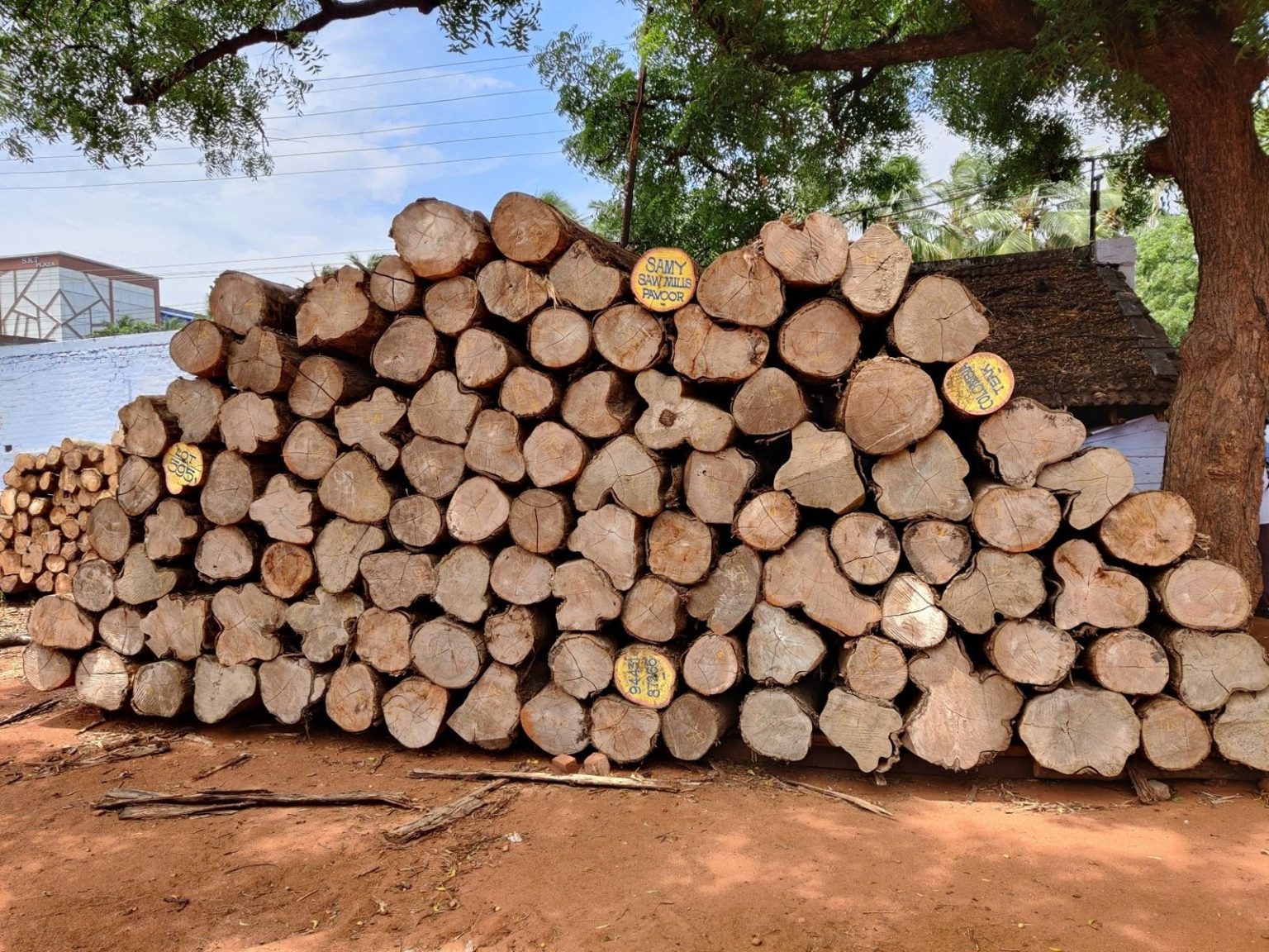 Forest & Wood Certification, A MoEFCC Scheme for Sustainable Forestry ...