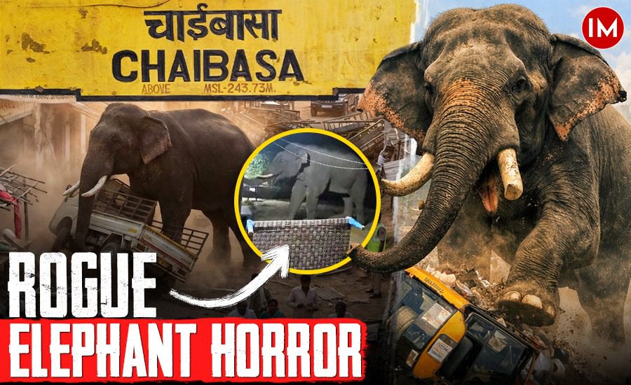 Deadly Tusker on the Run: 20 Killed in Jharkhand’s Worst Elephant ...