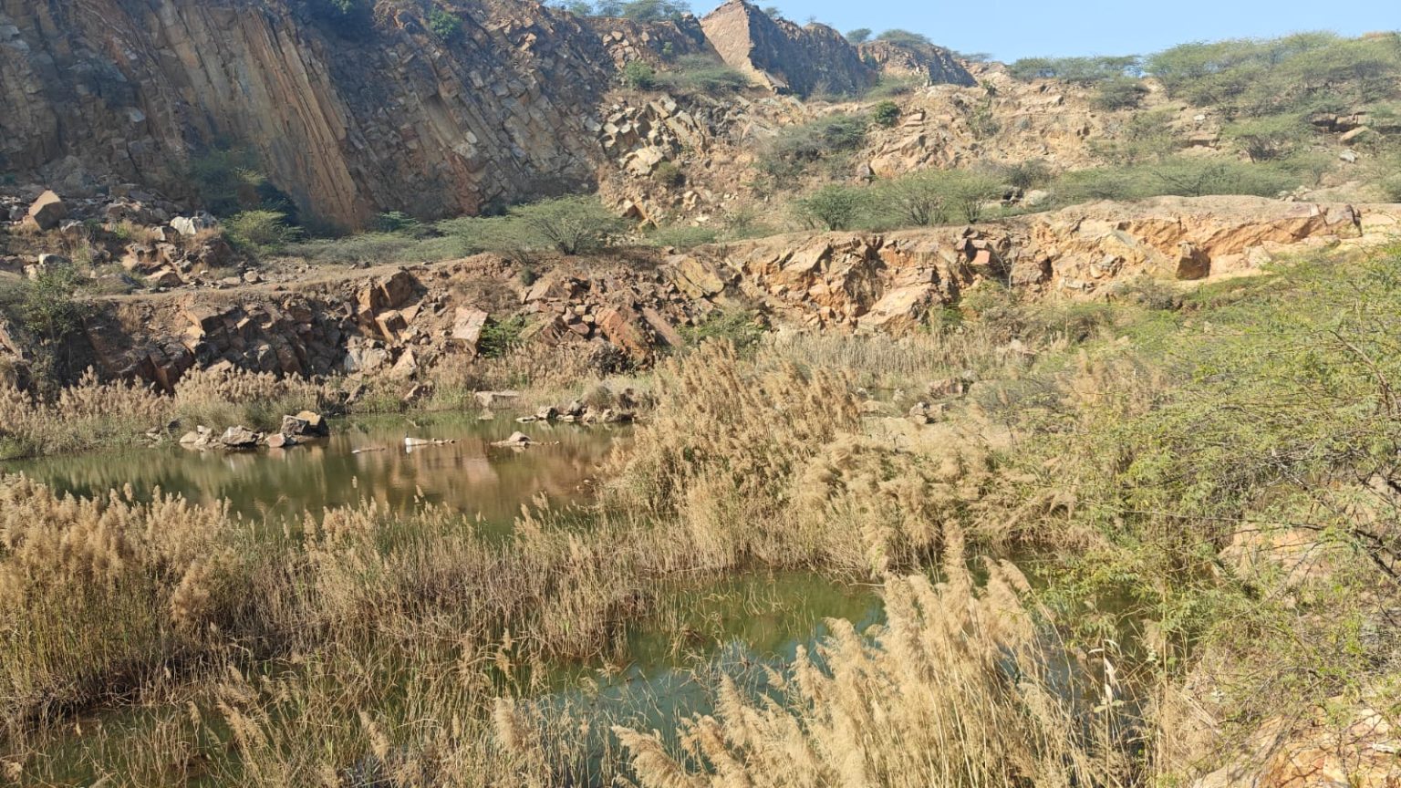 How IFS Subhash Yadav Is Rewriting Gurgaon’s Forest Future
